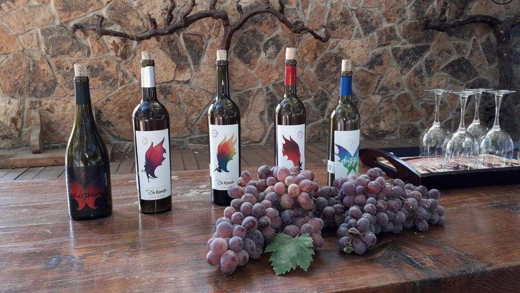 The Deck | Viñedo En'kanto